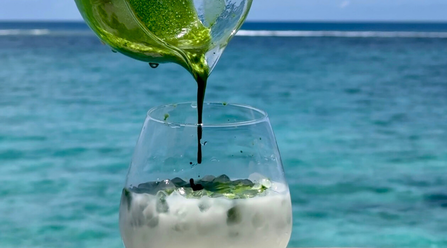 Usucha vs Koicha - The Ultimate Guide to Thin and Thick Matcha – Maison ...